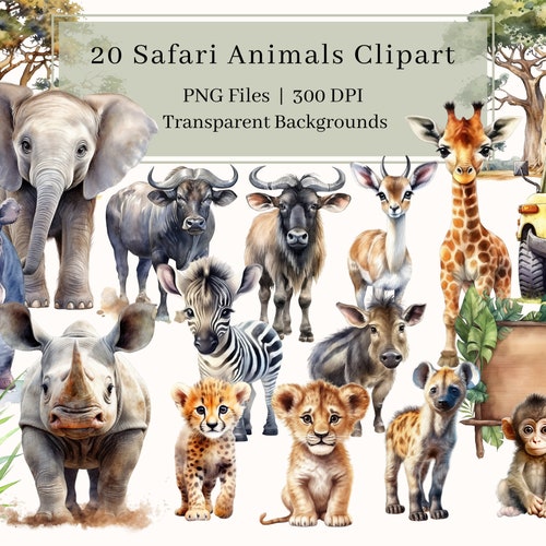Watercolor Safari Animals Clipart PNG Baby Safari Animals: - Etsy