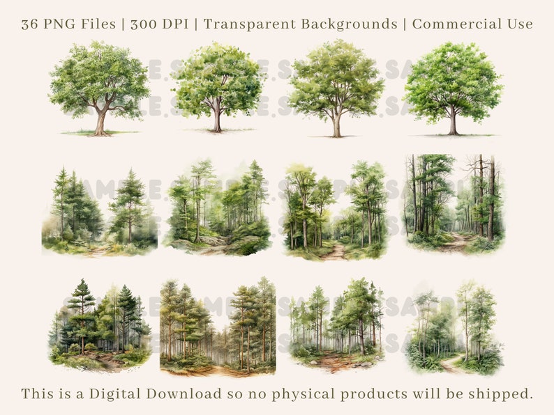 36 Watercolor Forest Trees Clipart, PNG, Pine Forest Clipart, Trees ...