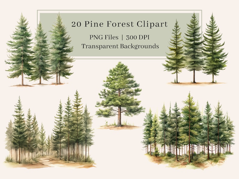 20 Forest Clipart, PNG, Watercolor Pine Forest Clipart, Pine Trees ...