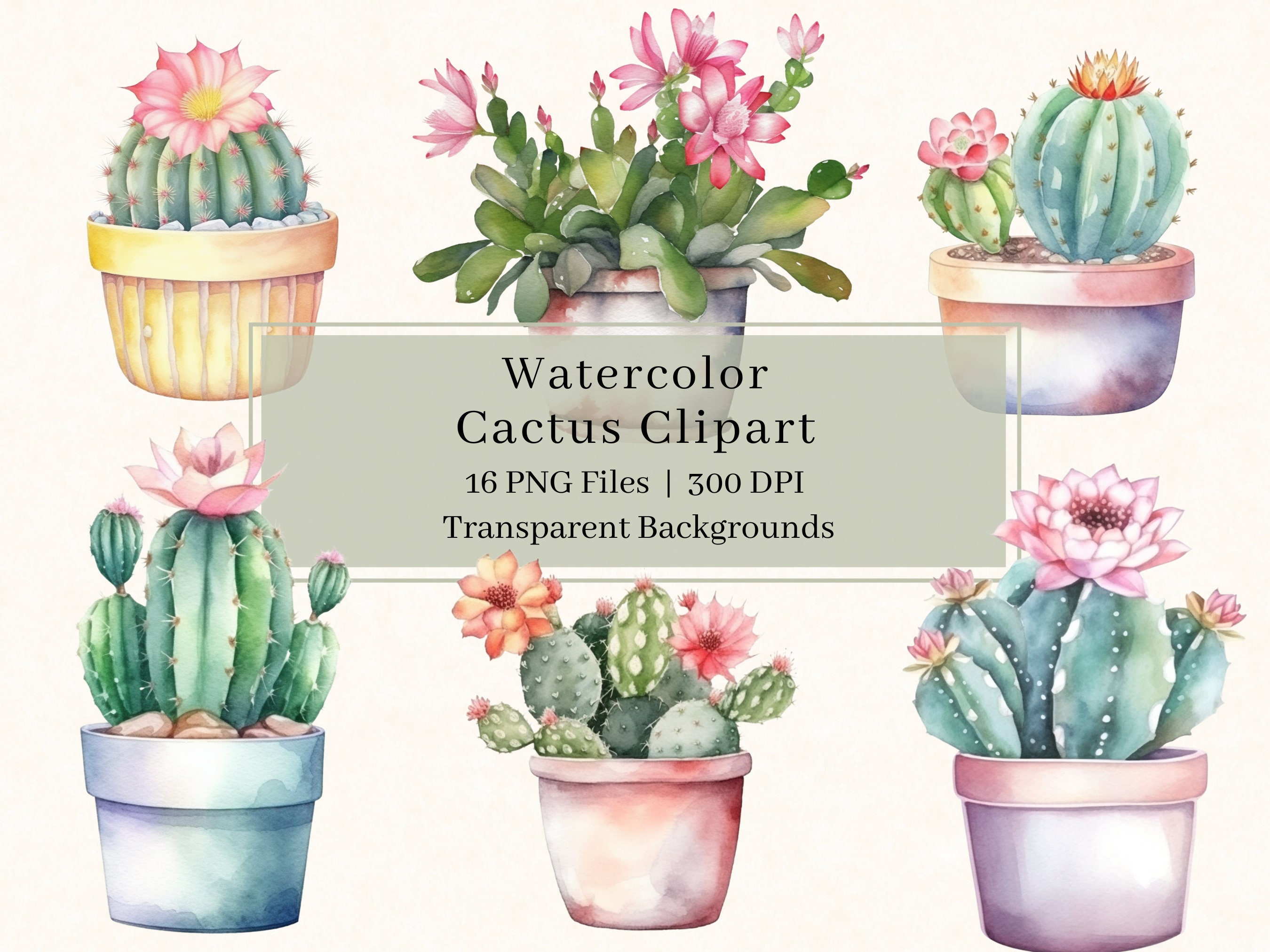 16 Cactus Clipart, PNG, Watercolor cactus Clipart, Plants Illustration ...