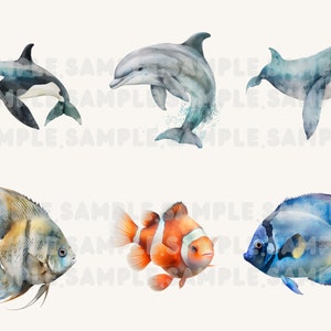 21 Watercolor Sea Creatures Clipart, PNG, Sealife, Wall Art, Turtle ...
