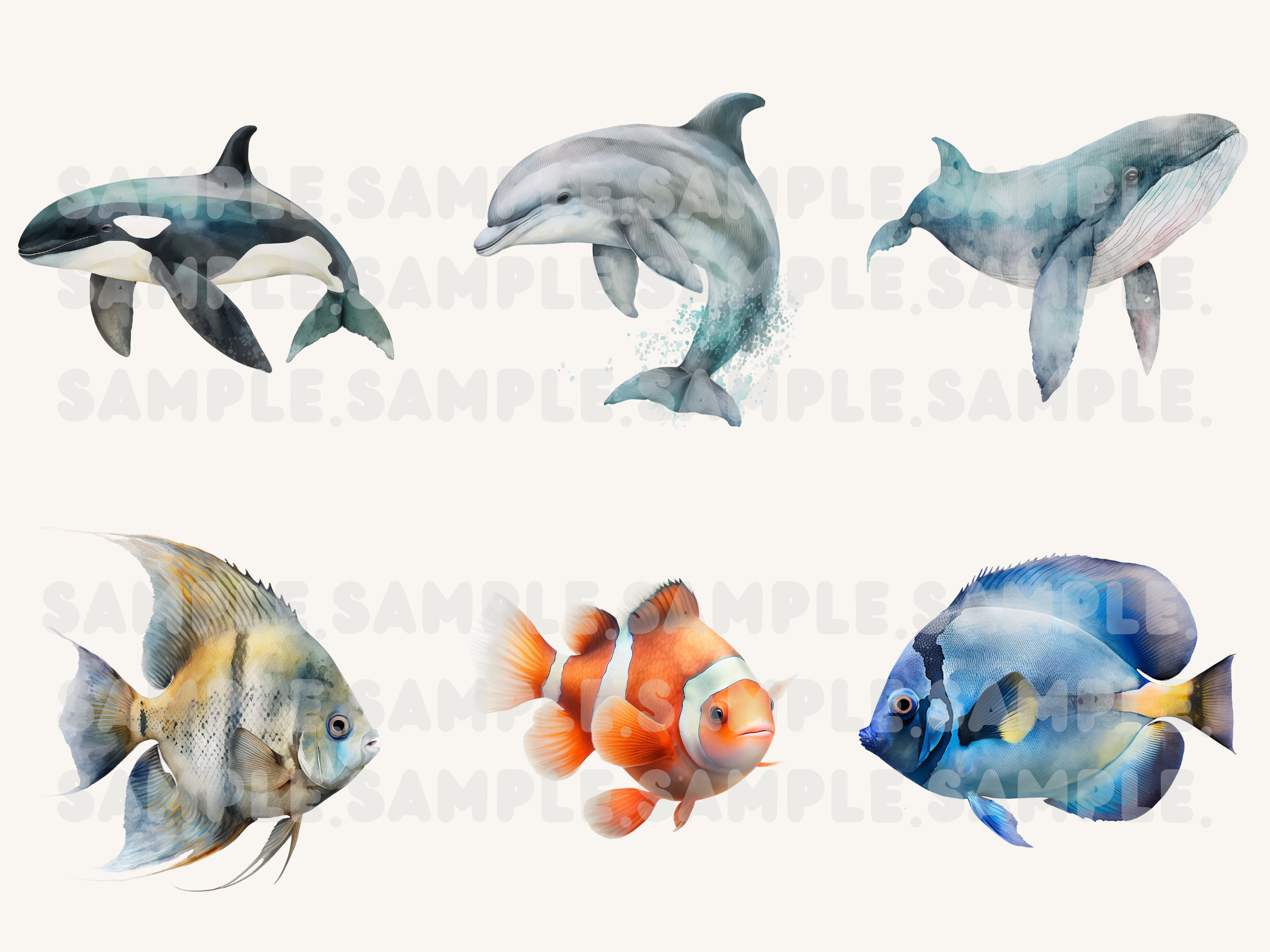 21 Watercolor Sea Creatures Clipart PNG Nursery Decor Wall - Etsy UK
