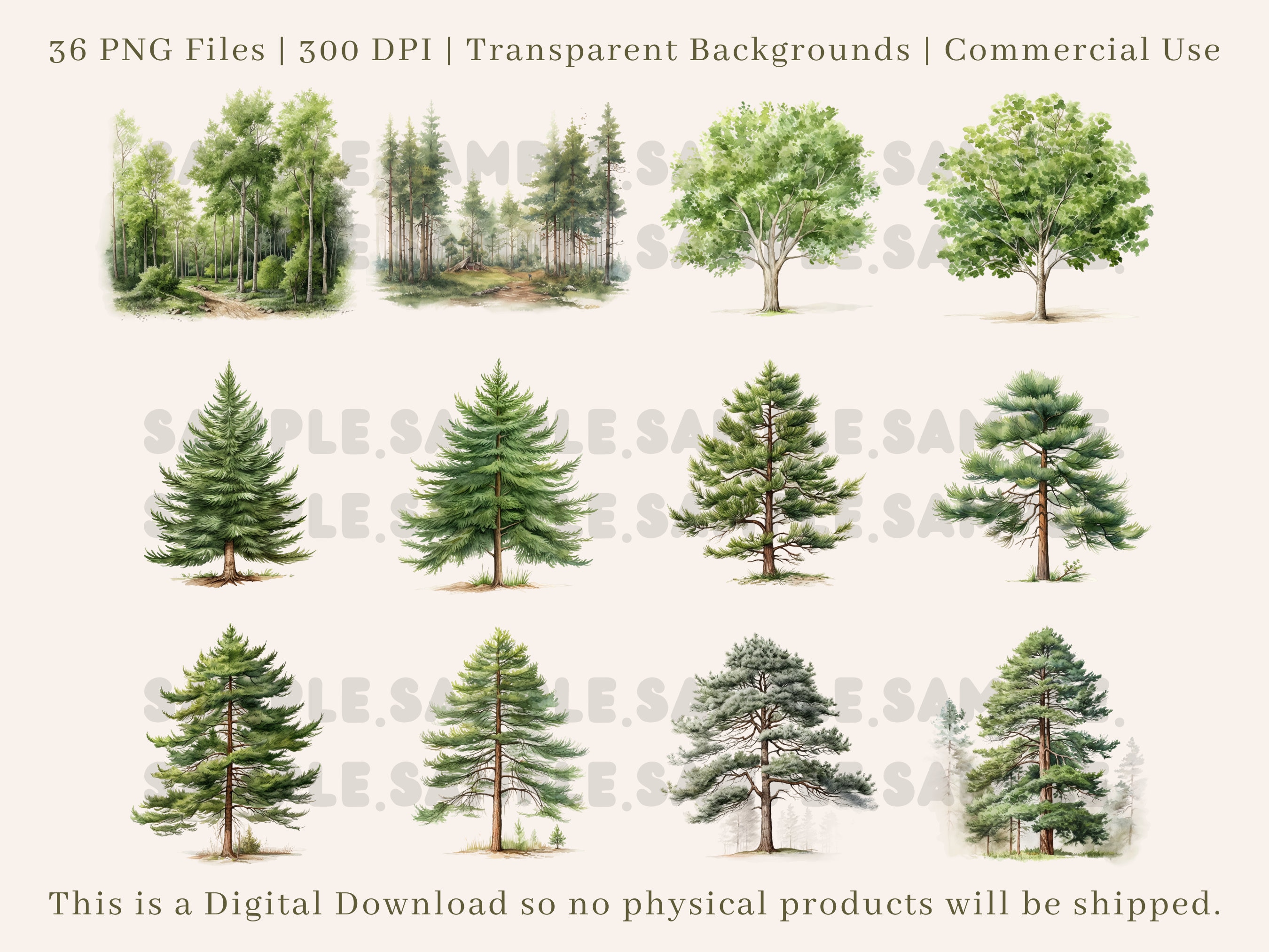 36 Watercolor Forest Trees Clipart, PNG, Pine Forest Clipart, Trees ...