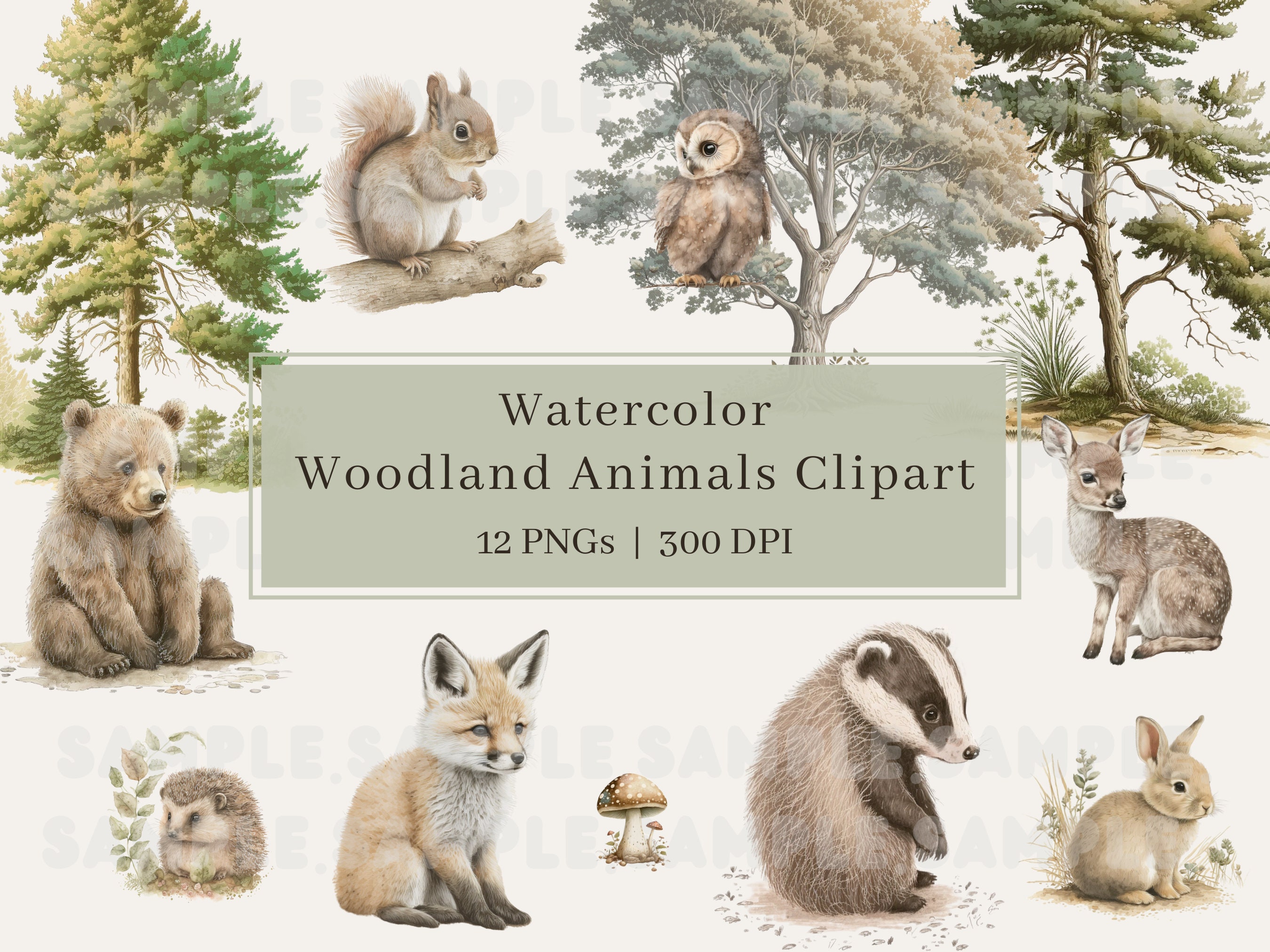 12 Woodland Animals Clipart PNG Watercolor Forest Animal - Etsy