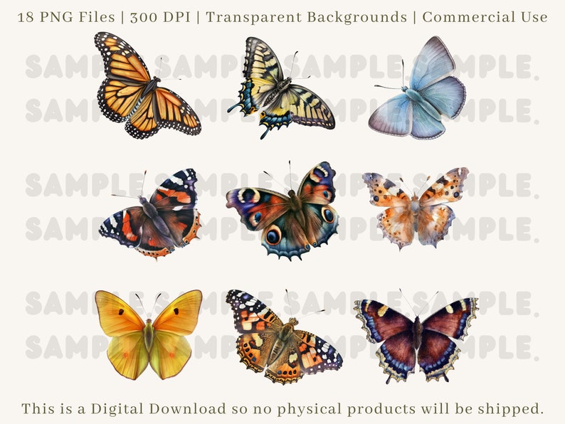 18 Butterflies Clipart, PNG, Watercolor Butterfly Clipart, Insect ...