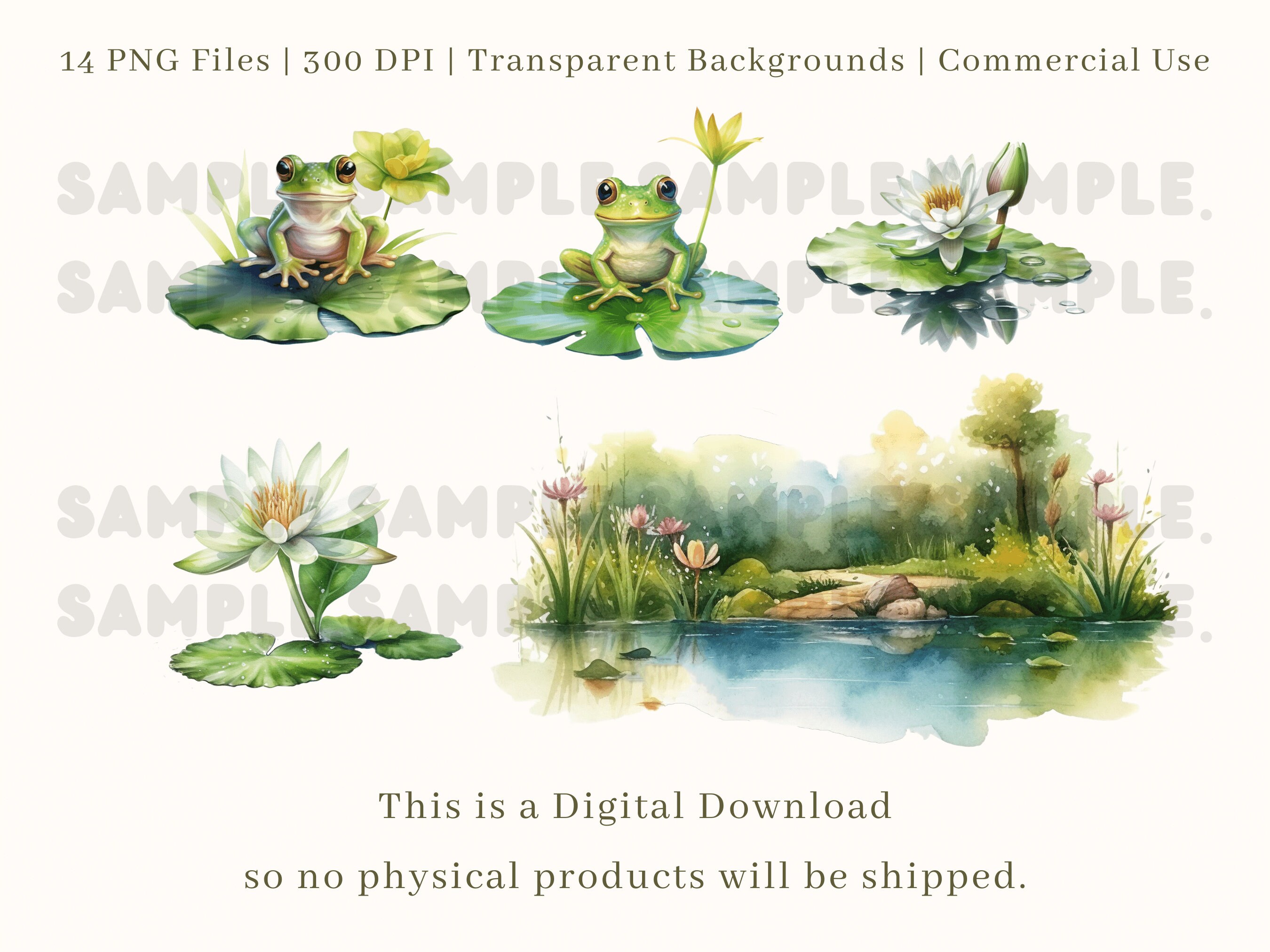 14 Frog Clipart, PNG, Watercolor Frogs Clipart Bundle, Frog Art, Frog ...
