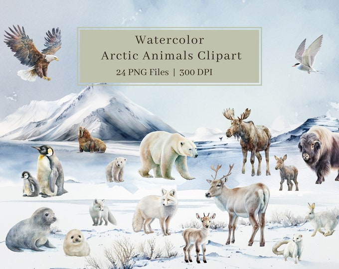 INSTANT Download. Arctic Animals Clip Art. Caa_3. Personal and ...