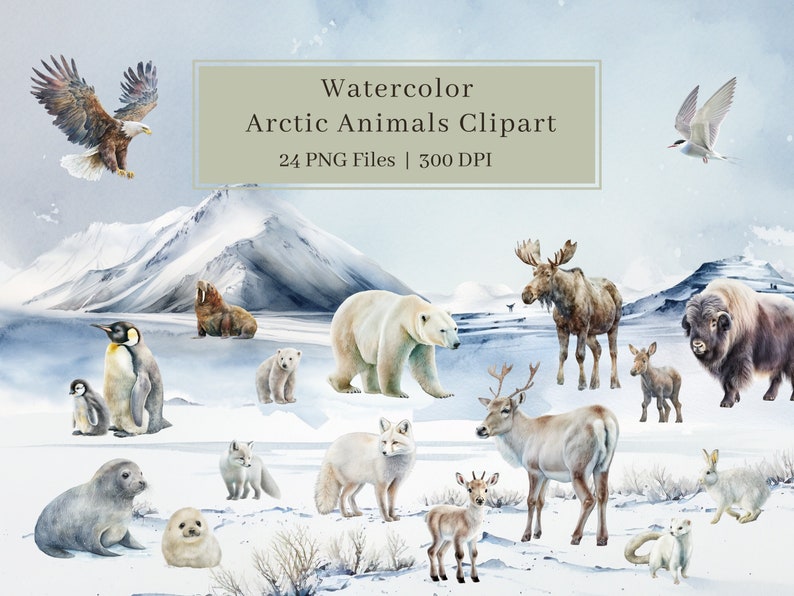 24 Watercolor Arctic Animals Clipart PNG Snow Animals Wall - Etsy