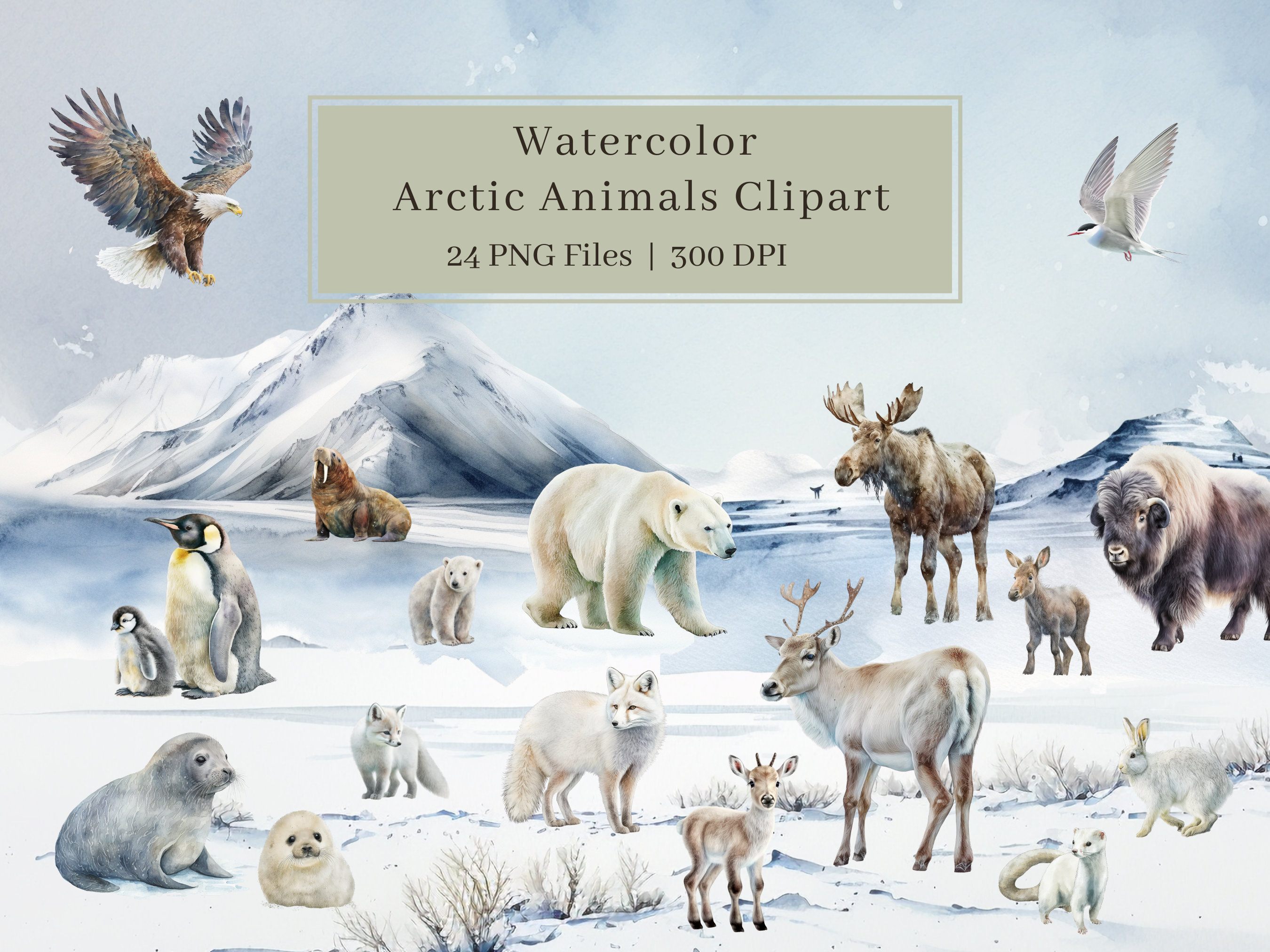 24 Watercolor Arctic Animals Clipart PNG Snow Animals Wall - Etsy