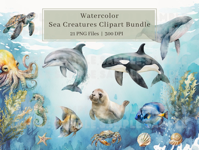 21 Watercolor Sea Creatures Clipart, PNG, Sealife, Wall Art, Turtle ...