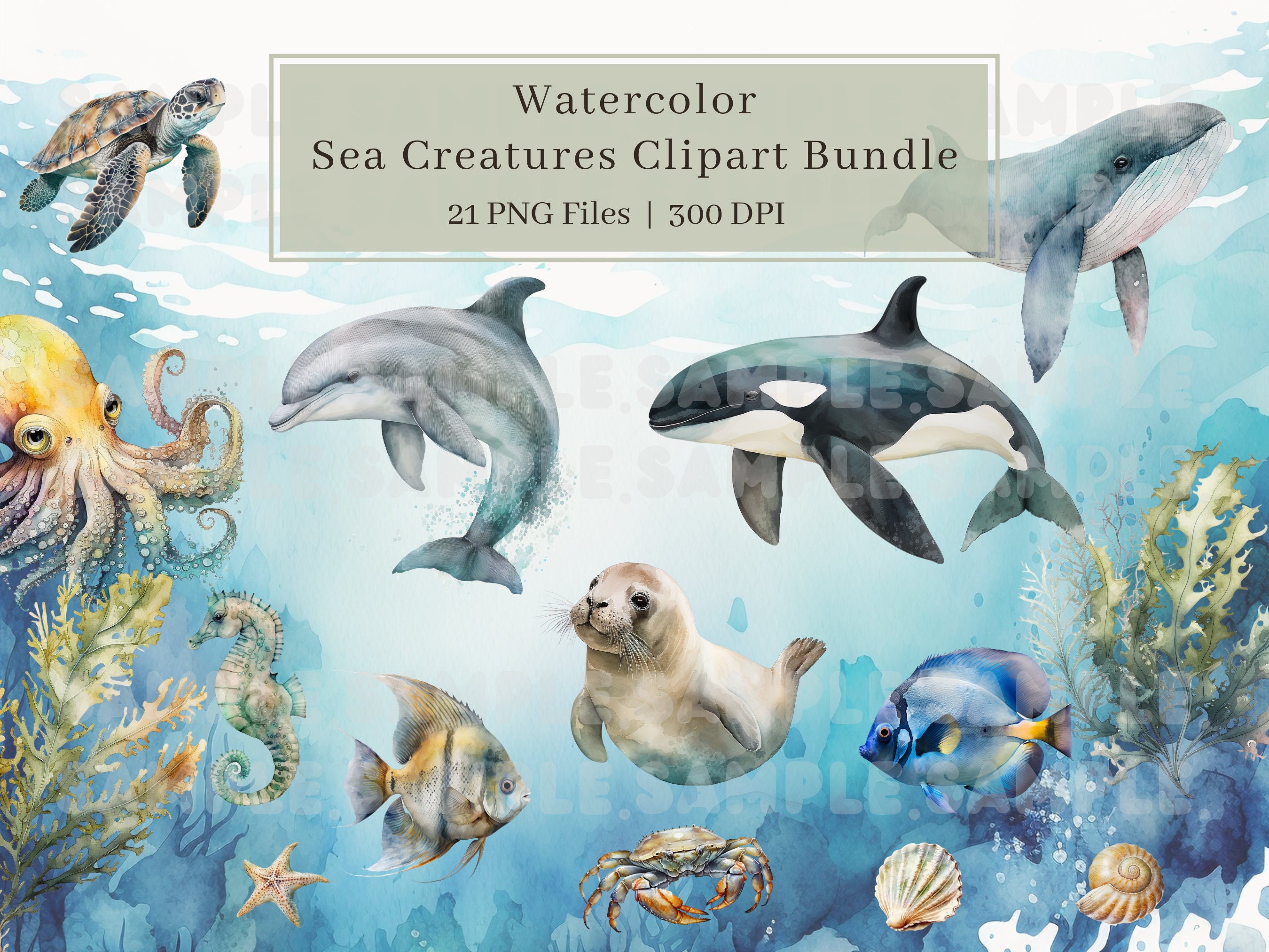 21 Watercolor Sea Creatures Clipart PNG Nursery Decor Wall - Etsy UK