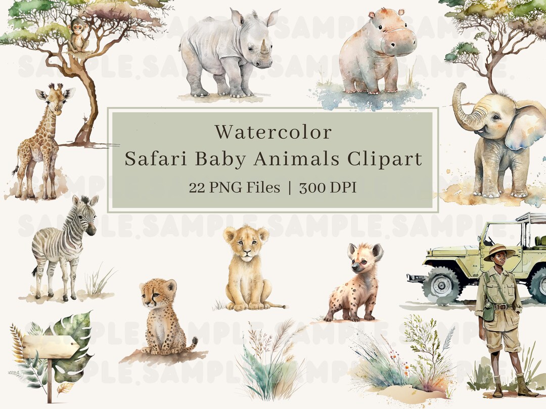 Watercolor Safari Animals Clipart, PNG, Baby Safari Animals: Elephant ...