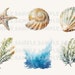21 Watercolor Sea Creatures Clipart, PNG, Sealife, Wall Art, Turtle ...