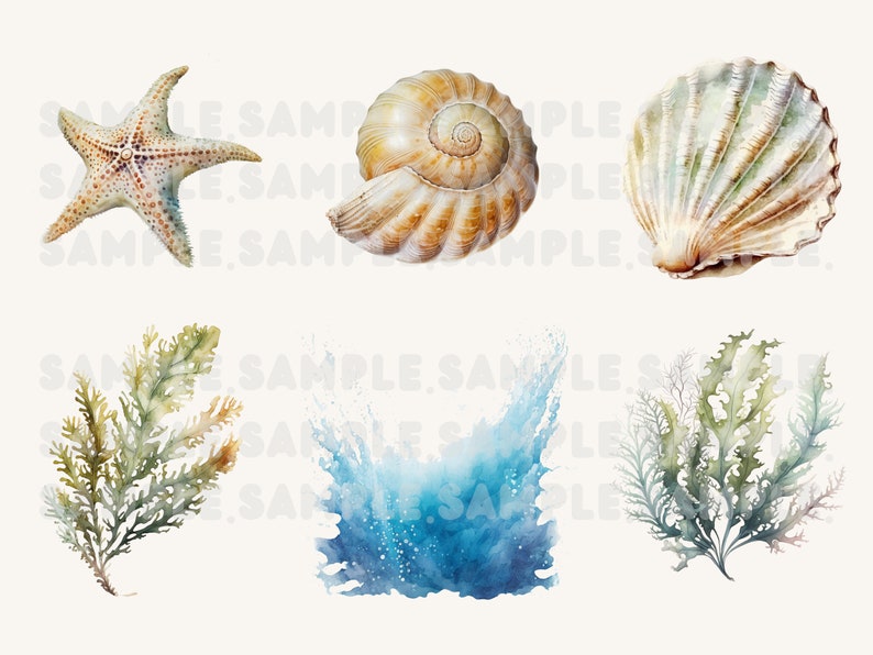 21 Watercolor Sea Creatures Clipart, PNG, Sealife, Wall Art, Turtle ...