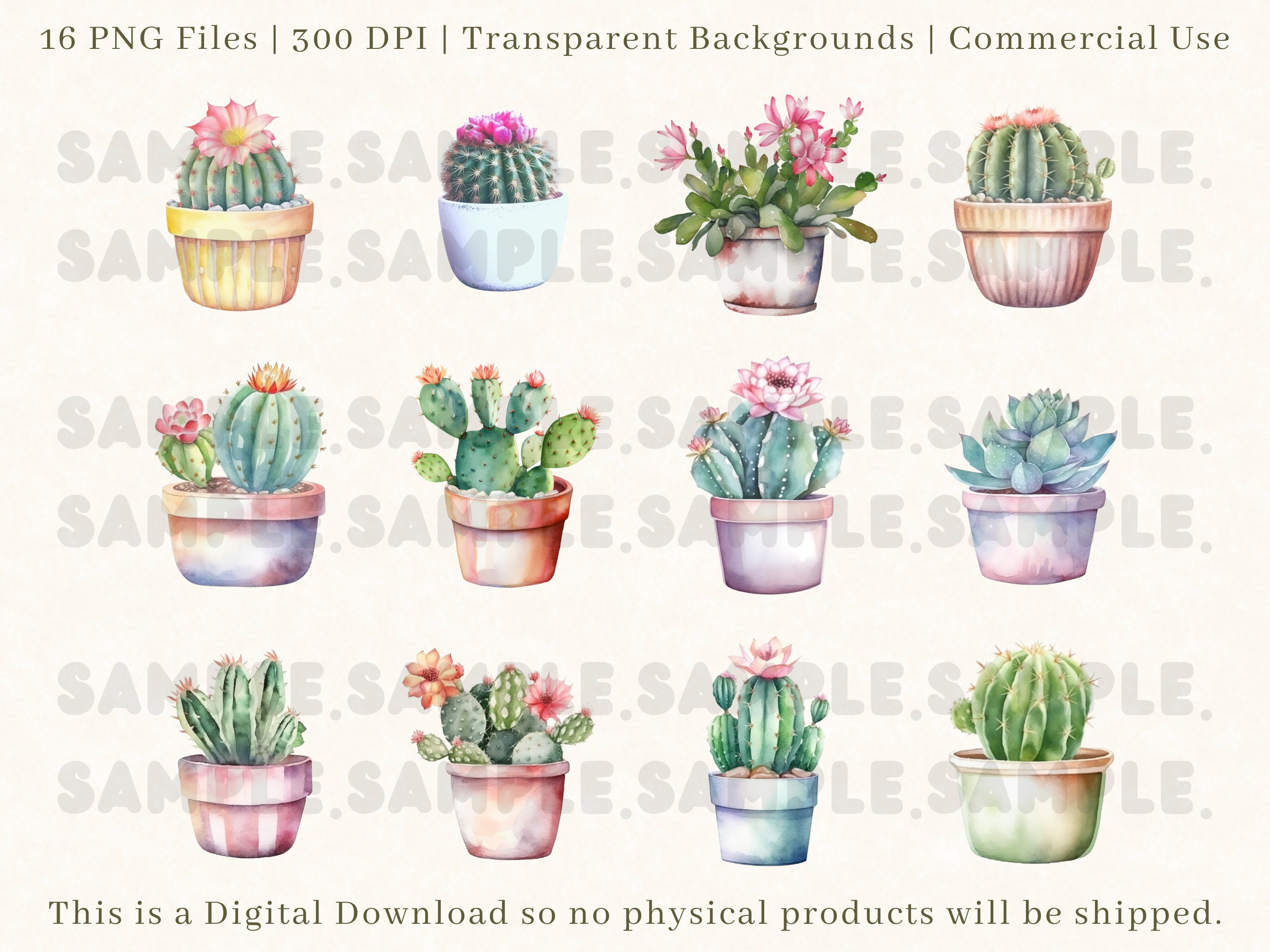 16 Cactus Clipart, PNG, Watercolor cactus Clipart, Plants Illustration ...