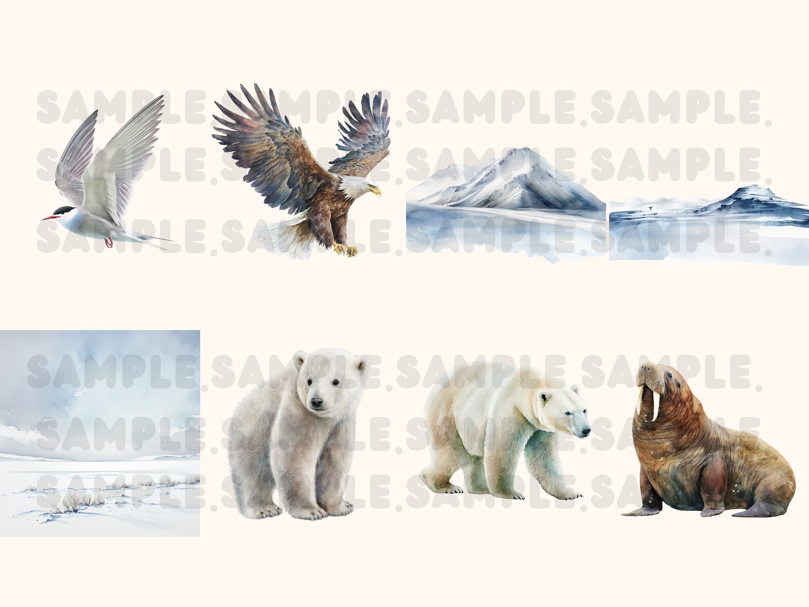 24 Watercolor Arctic Animals Clipart, PNG, Snow Animals, Wall Art, Seal ...