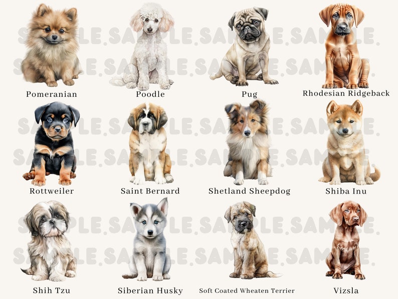 Watercolor Dog Clipart Bundle: 51 Breeds PNG Images (commercial Use ...