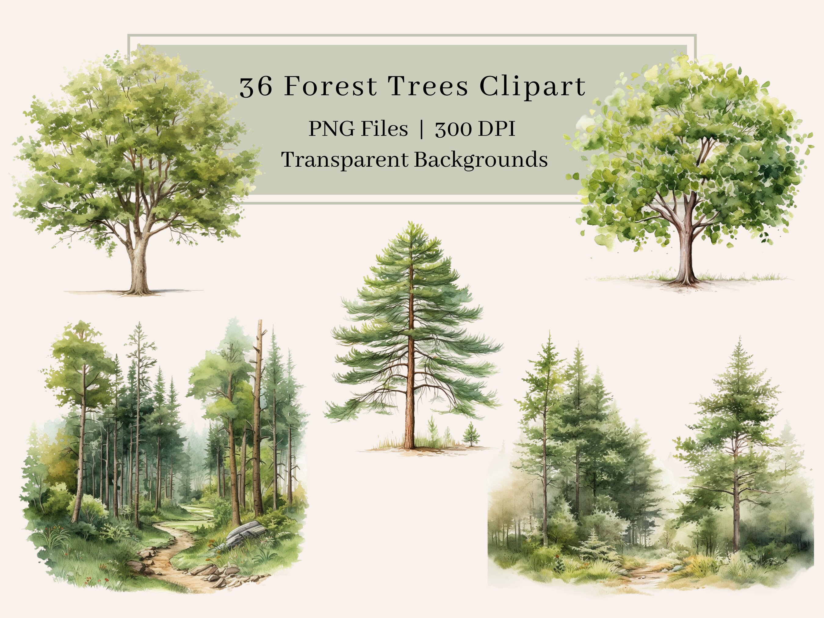 36 Watercolor Forest Trees Clipart, PNG, Pine Forest Clipart, Trees ...