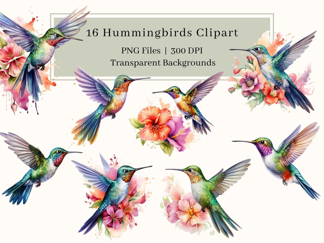 16 Hummingbirds Clipart, PNG, Watercolor Hummingbirds Images Bundle ...