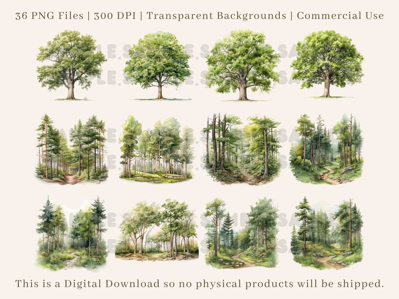 36 Watercolor Forest Trees Clipart, PNG, Pine Forest Clipart, Trees ...