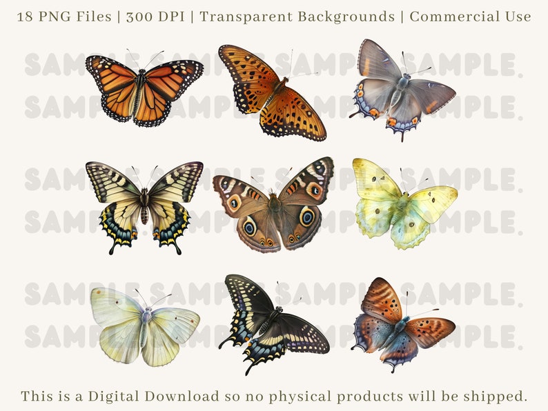18 Butterflies Clipart, PNG, Watercolor Butterfly Clipart, Insect ...