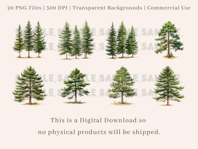 20 Forest Clipart, PNG, Watercolor Pine Forest Clipart, Pine Trees ...