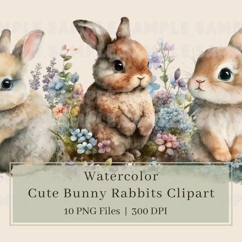 Cute Baby Bunny. Clipart PNG. Watercolor. Winter Graphic. - Etsy