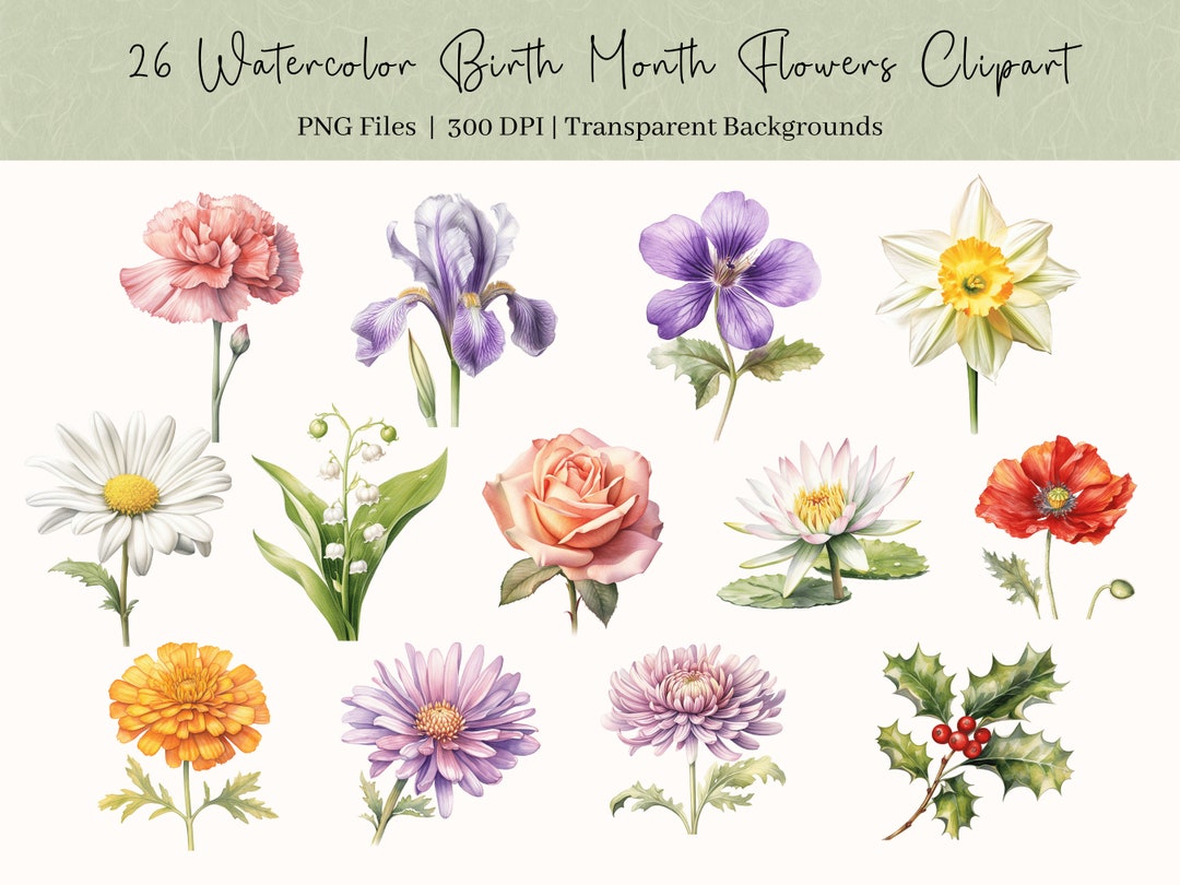 Watercolor Birth Month Flowers Clipart: Floral Illustrations (PNG ...