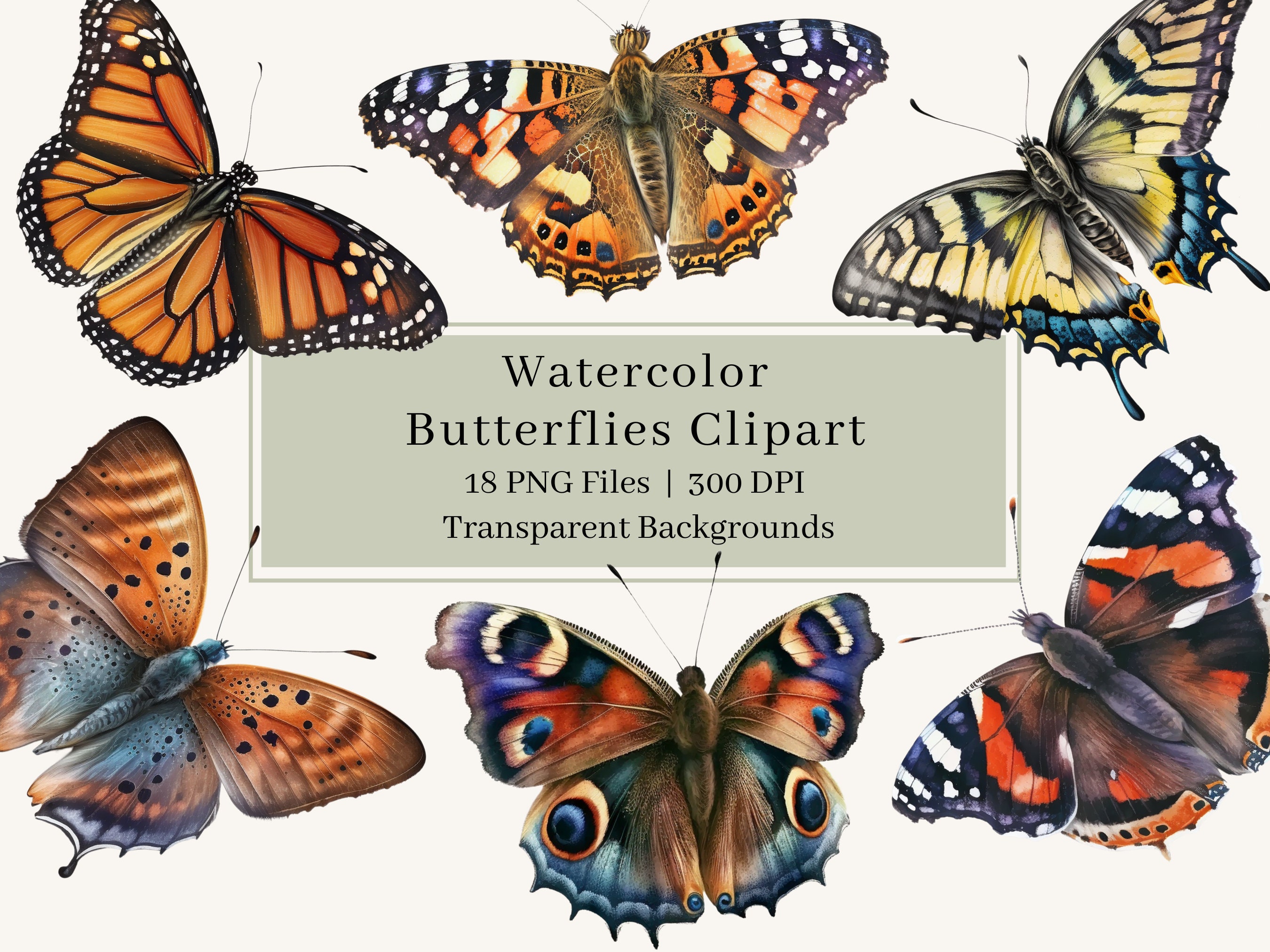18 Butterflies Clipart, PNG, Watercolor Butterfly Clipart, Insect ...