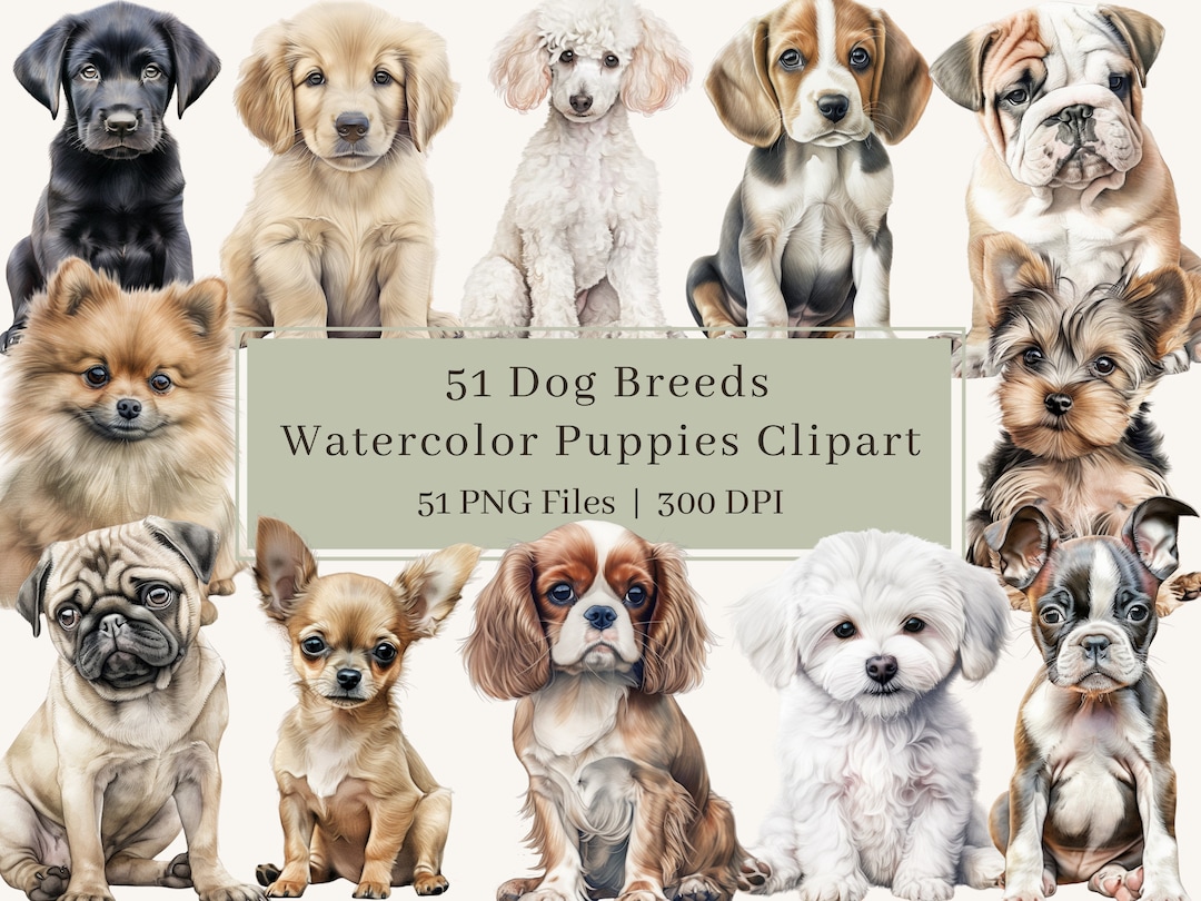 Watercolor Dog Clipart Bundle: 51 Breeds PNG Images (commercial Use ...