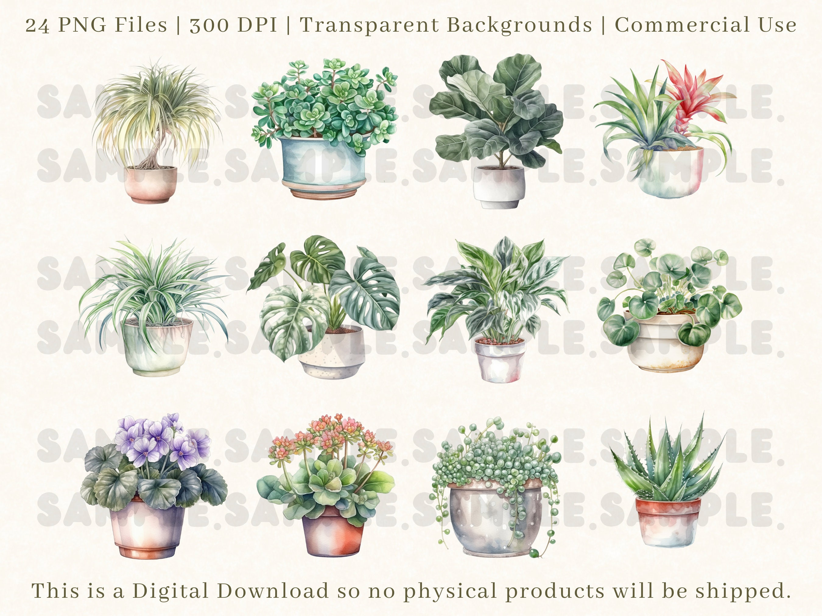 24 House Plants Art, PNG, Watercolorindoor Plants Clipart, Plants ...