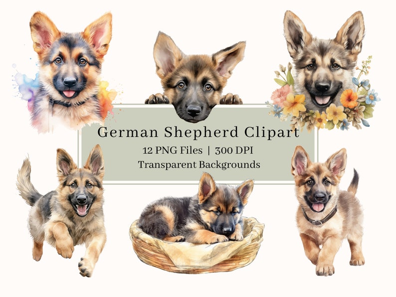 Watercolor German Shepherd Puppy Clipart Bundle: 12 PNG Dog Art ...