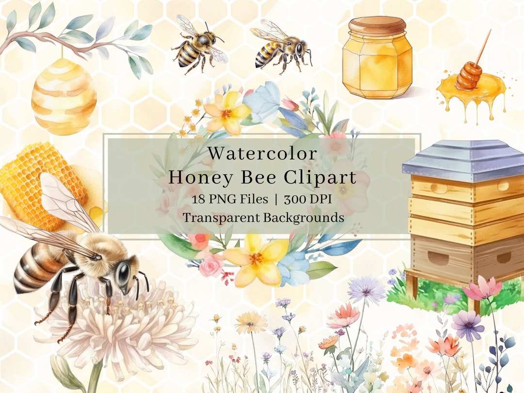 18 Watercolor honey Bee Clipart, PNG, Spring Garden Bee Honey Drips ...