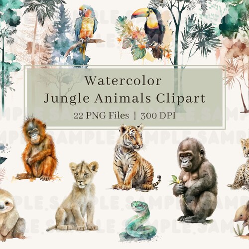 Watercolor Safari Animals Clipart PNG Baby Safari Animals: - Etsy Australia