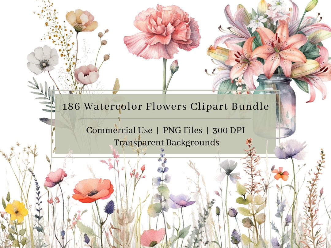 186 Watercolor Flowers Clipart Bundle, PNG, Watercolor Birth Month ...