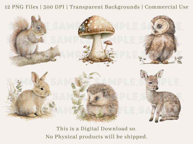 12 Woodland Animals Clipart PNG Watercolor Forest Animal - Etsy