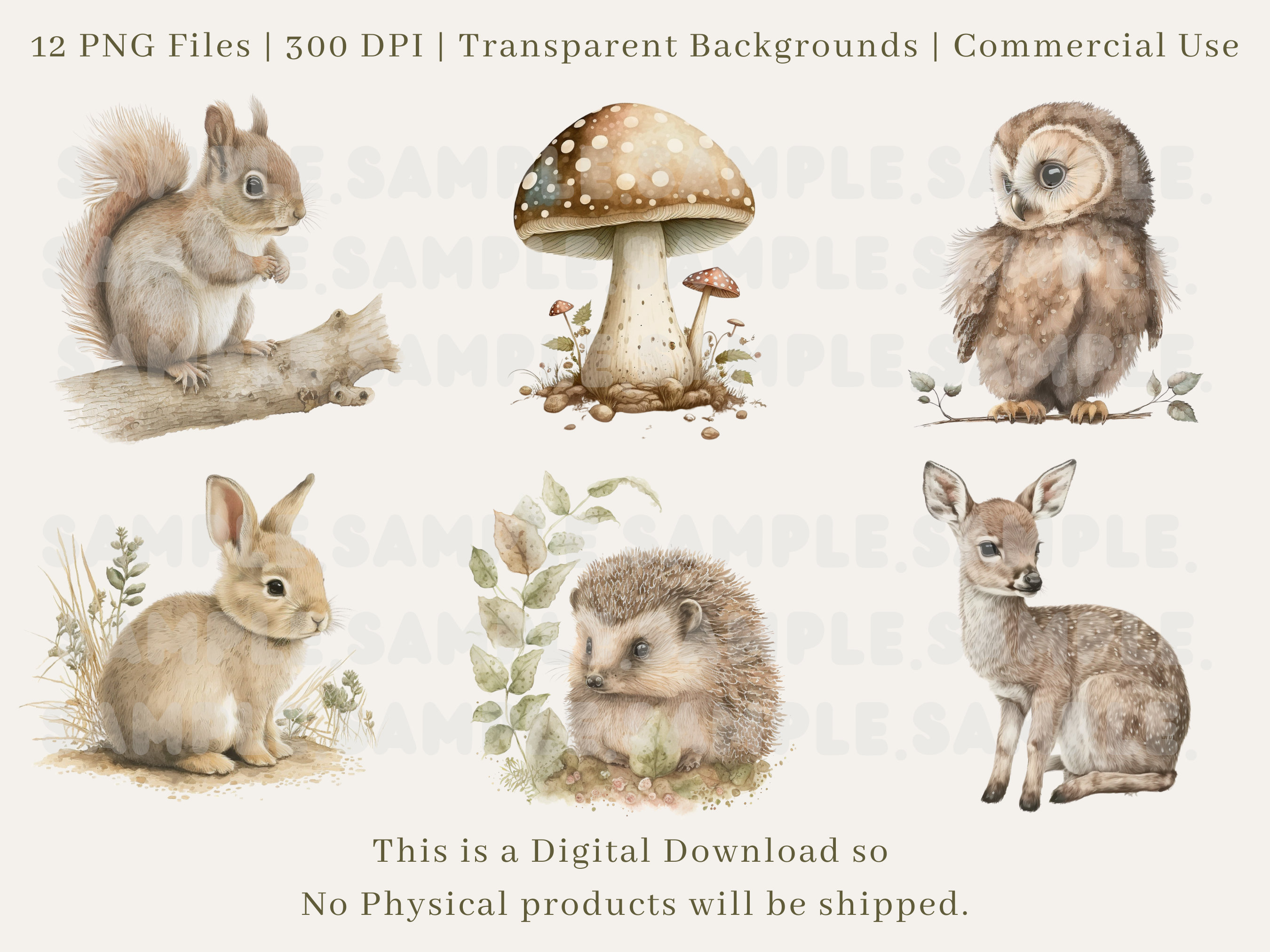 12 Woodland Animals Clipart, PNG, Watercolor Forest Animal Clipart ...
