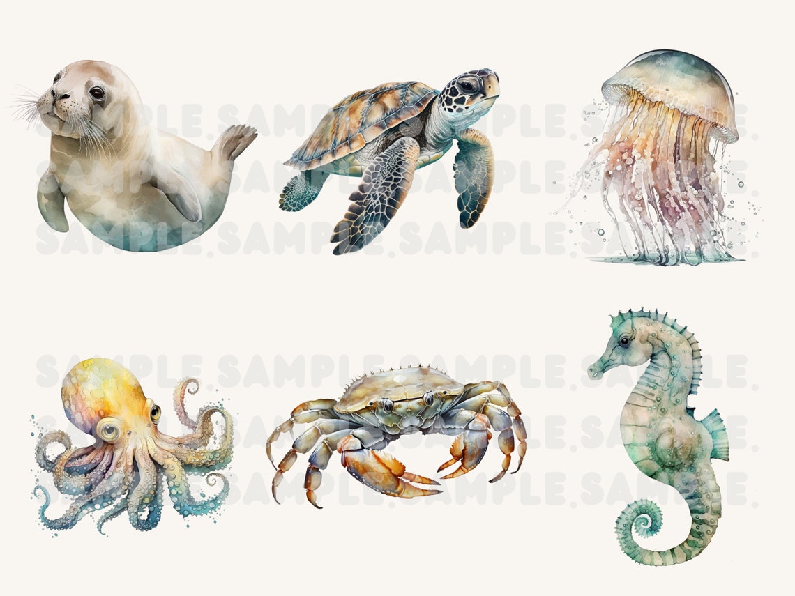 21 Watercolor Sea Creatures Clipart PNG Nursery Decor Wall - Etsy UK