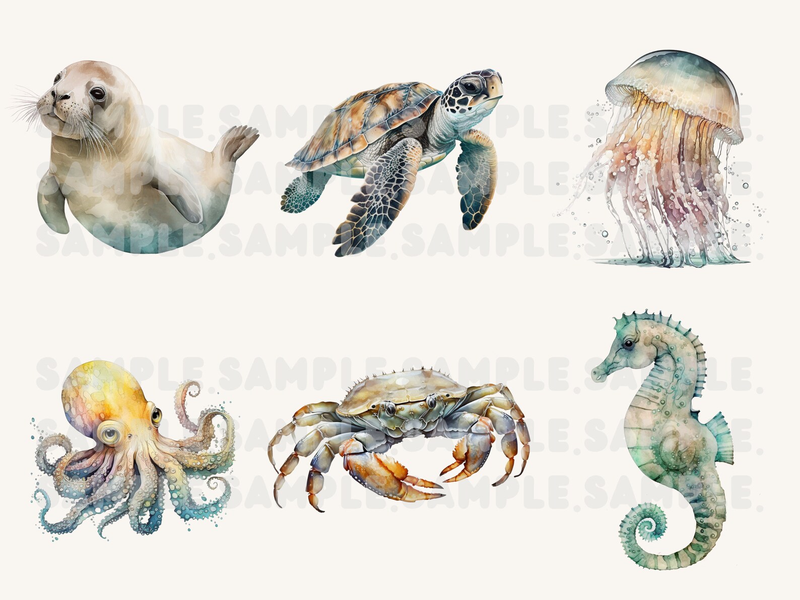21 Watercolor Sea Creatures Clipart, PNG, Sealife, Wall Art, Turtle ...