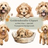 Goldendoodle Scribble Drawing PNG SVG Bundle, 25 Sketch Style Dog ...
