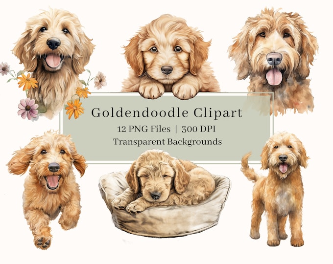 Goldendoodle Clipart, Golden Doodle PNG, Watercolor Clipart, Cute ...