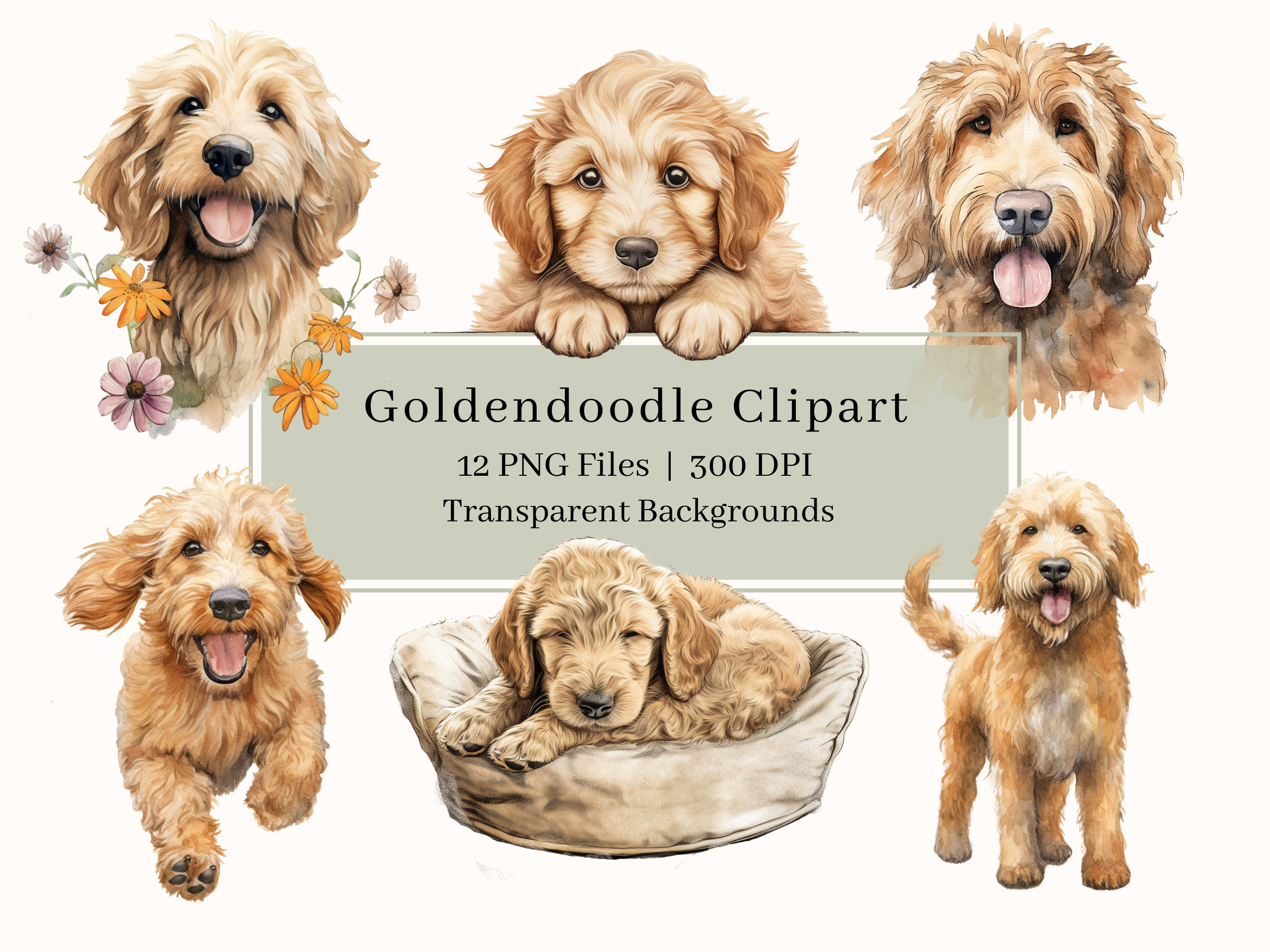 12 Goldendoodle Clipart, PNG, Watercolor Puppy Clipart Bundle ...