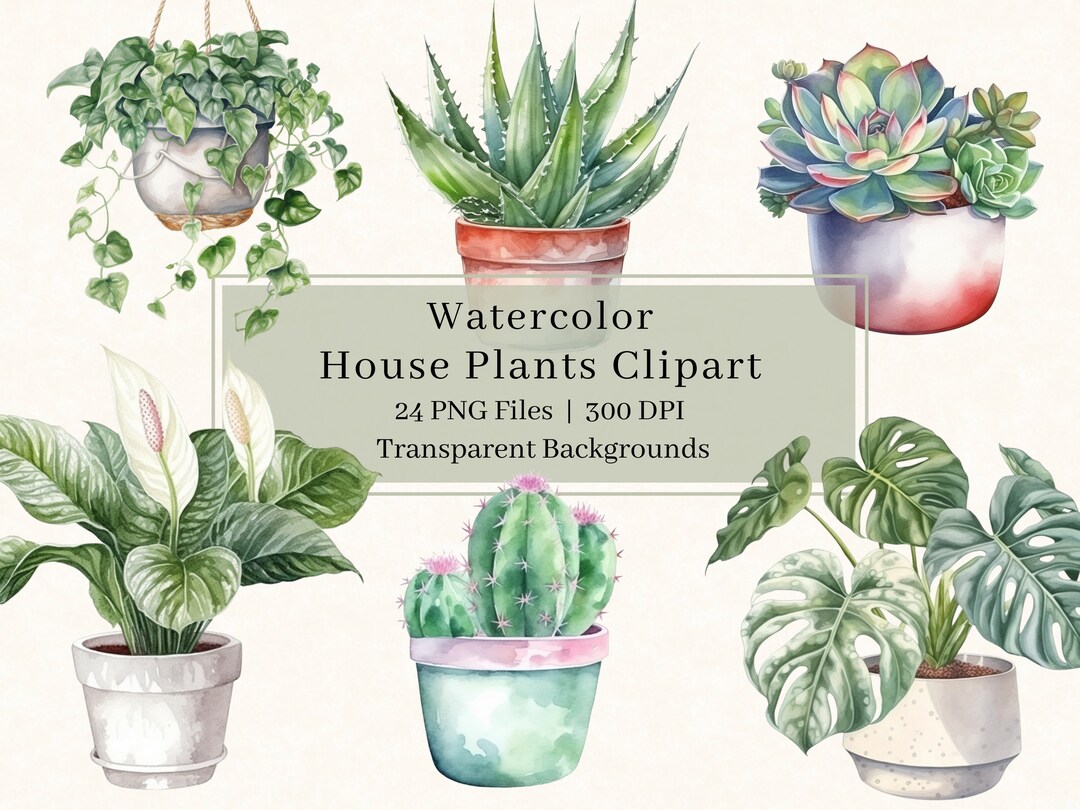 24 House Plants Art, PNG, Watercolor indoor Plants Clipart, Plants ...