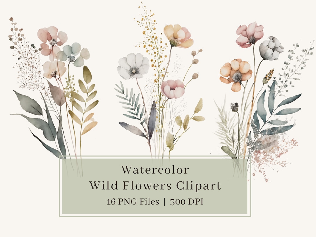 16 Watercolor Wildflowers Clipart, PNG, Flowers Clipart, Floral Bouquet ...