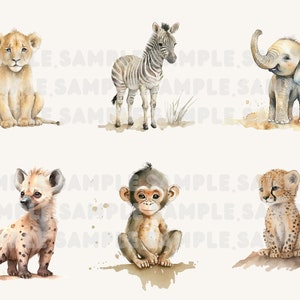 Watercolor Safari Animals Clipart, PNG, Baby Safari Animals: Elephant ...