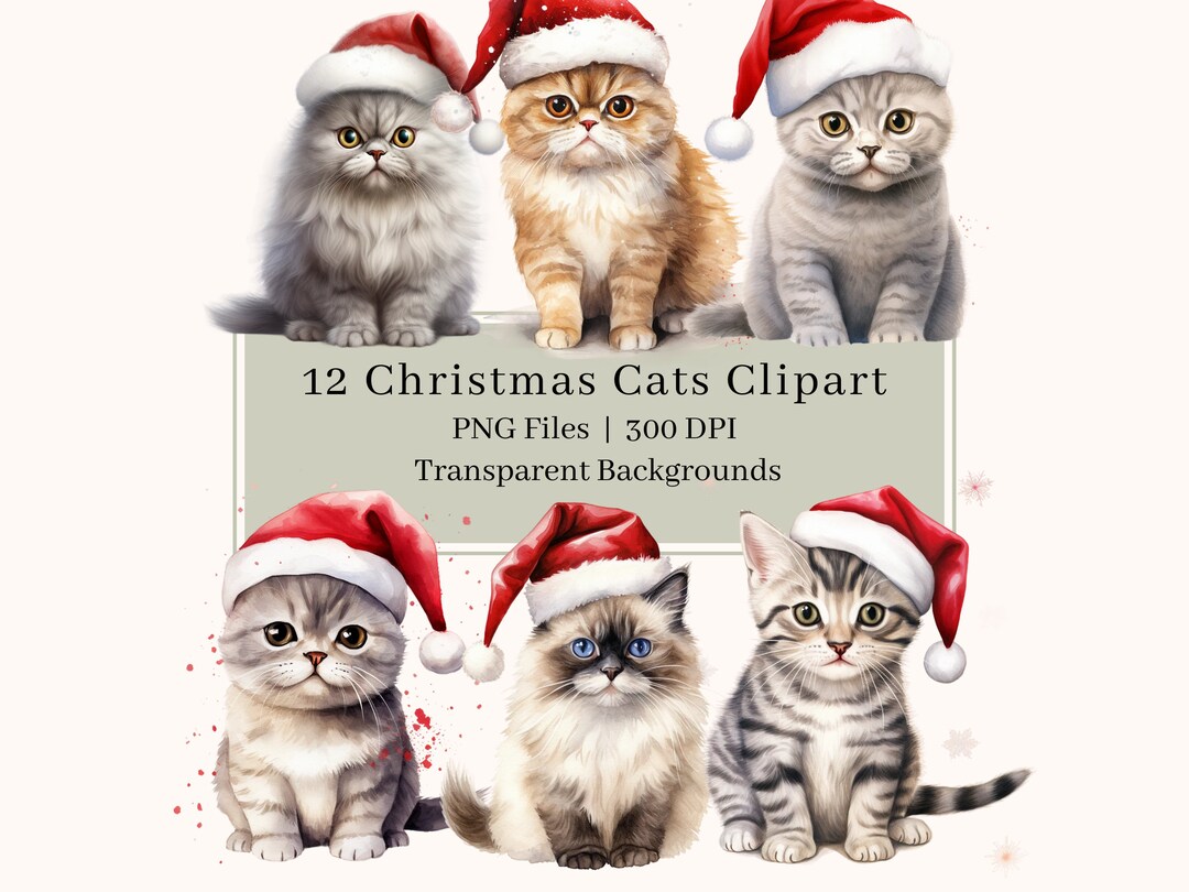 12 Christmas Cat Clipart, PNG, Watercolor Christmas Cat Clipart Bundle ...