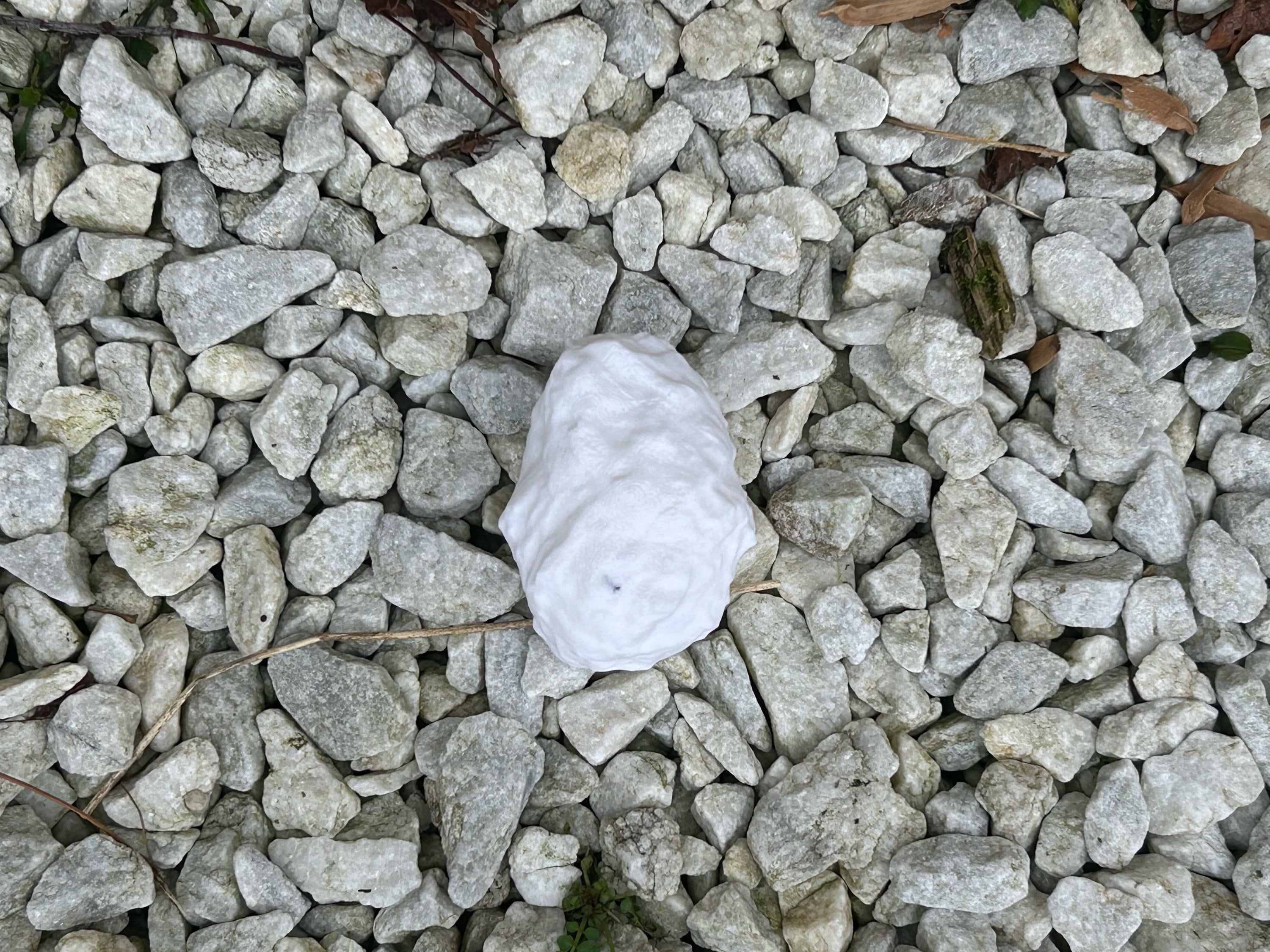 Hidden Rock Geocache - Etsy