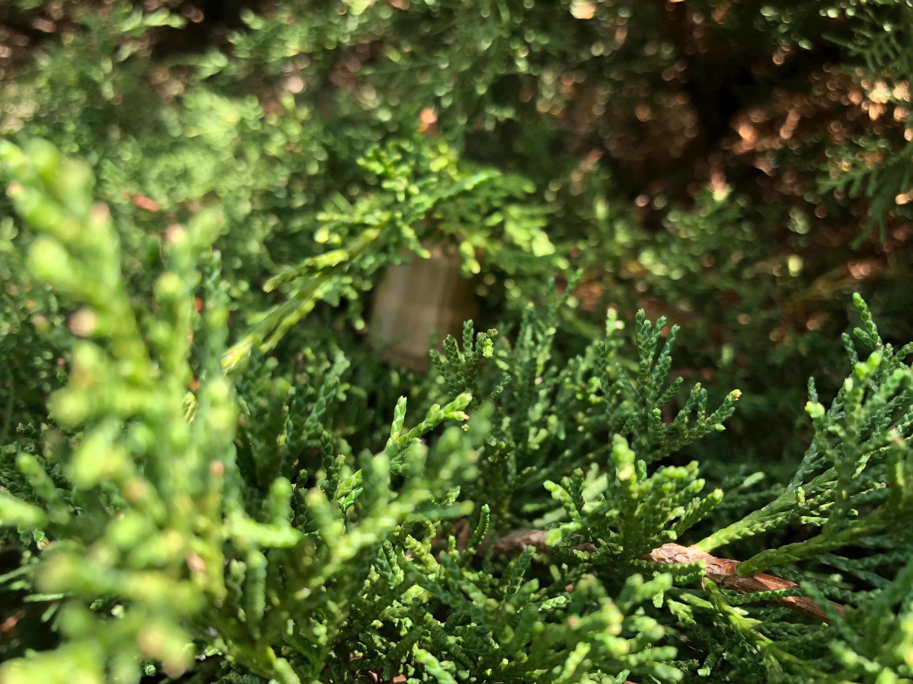 Micro Geocache - Etsy