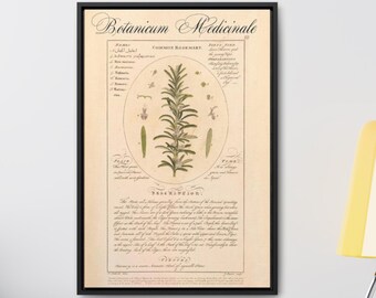 Vintage Poster Medicinal Plants - Etsy
