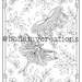 Butterfly and Moth - Printable Coloring Page - Summer Vibes Magical - Etsy